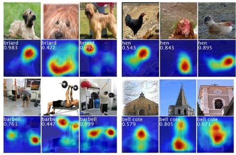 saliency maps in convolutional neural networks
