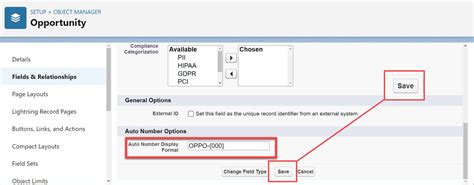 How To Change The Format Of Auto Number Field On Existing Record In