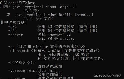 vscode配置java运行环境 csdn博客