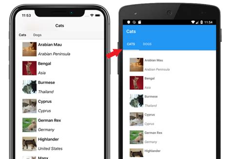 C How Can I Customize The Appearance Of Top Tabs ShellSection In