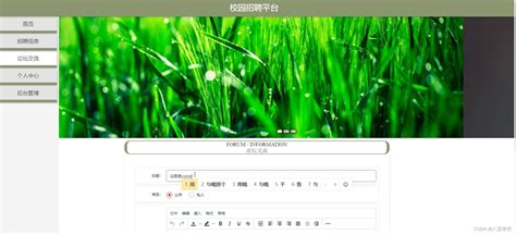 springboot毕设项目校园招聘平台r3839（java vue mybatis maven mysql） springboot33d98 csdn博客