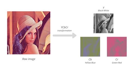 everything that you need to know about image steganography codementor