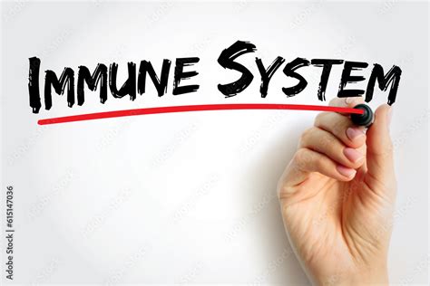 Immune System Complex Network Of Organs That Defends The Body Against