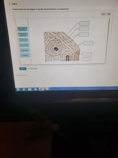 Drag The Labels Onto The Diagram To Identify Structural CCB