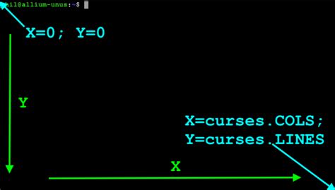 how to create a python curses enabled application