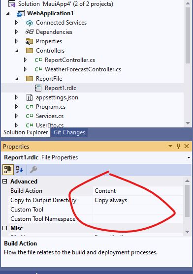 System IO FileNotFoundException Issue 1 Jantech RdlcWebApi GitHub