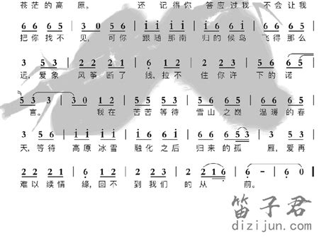 西海情歌笛子简谱 暂无曲 笛子君曲谱网