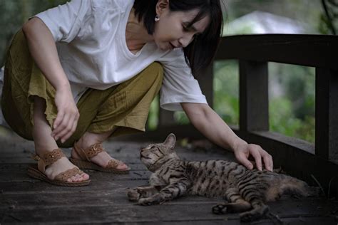 妻と猫 Ganref