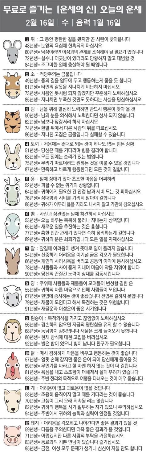 직장인을 위한 오늘의 운세 2022년 2월 16일 수요일 오늘의 띠별 스포츠조선