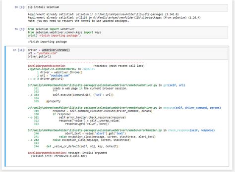 Selenium Jupyter Python 3 Invalidargumentexception While Using Webdriverchrome