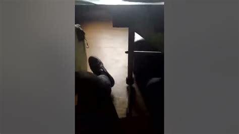 Ostry Sex Youtube