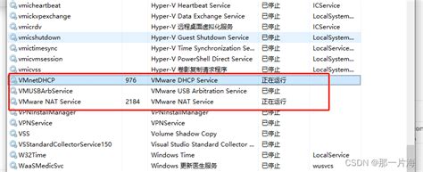 windows虚拟机安装mac os系统（操作图解） windows安装macos虚拟机 csdn博客