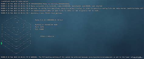 linux中安装redis linux redis home路径 csdn博客