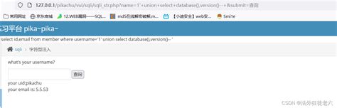 sql注入（pikachu）字符型注入和搜索型注入 搜索注入函数 csdn博客