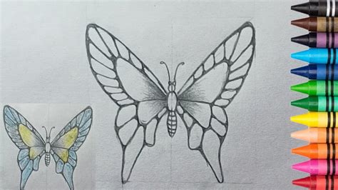 How To Draw Butterfly Easy Step By Step तितली के चित्र बनाएंआसन तारिका Draw Art Butterfly