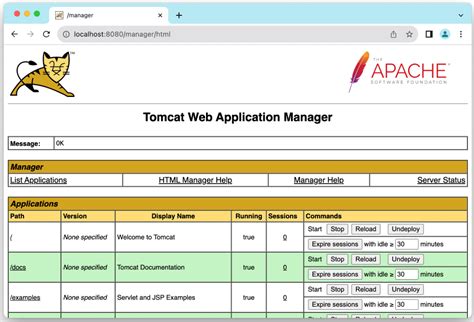 download and install tomcat 10 on macos