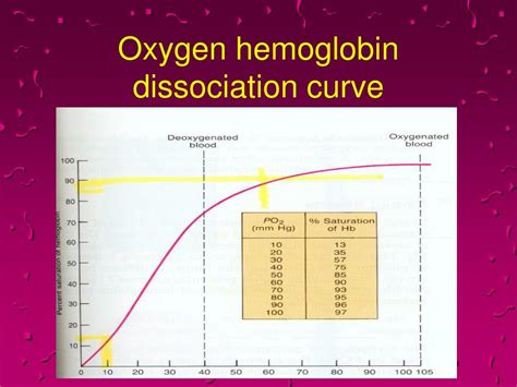 PPT OXYHEMOGLOBIN DISSOCIATION CURVE PowerPoint Presentation Free