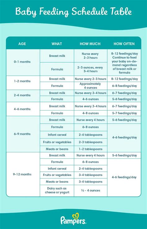 Breastfeeding Schedule In 2023 Baby Feeding Chart Breastfeeding And