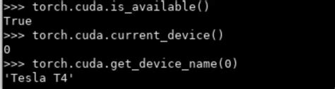CUDA Error Invalid Device Ordinal On Linux PyTorch Forums