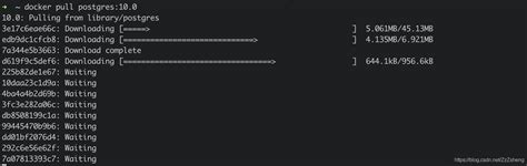 docker环境启动postgresql并导入sql文件 docker容器postgresql怎么导入sql脚本 csdn博客