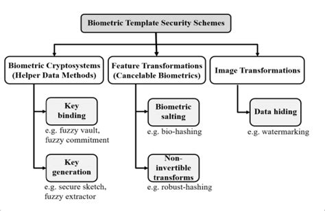 biometric template security schemes [40] download scientific diagram