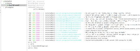 idea启动springboot启动不报错但无端口号信息 java程序启动没有端口号且启动不了 csdn博客