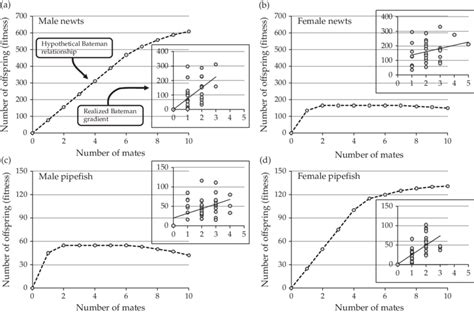 2 bateman relationships and bateman gradients for rough skinned newts download scientific