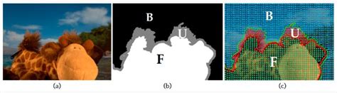 recommendedpaper multi criterion sampling matting algorithm by yuan yang et al biomimetics