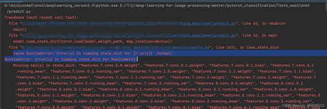 【无标题】pytorch代码报错 csdn博客