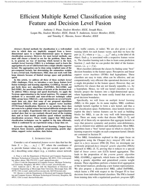pdf efficient multiple kernel classification using feature and decision level fusion