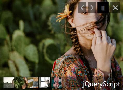 responsive slideshow with 6 transitions jquery mixslide free jquery plugins