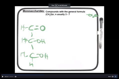 LECTURE Biological Macromolecules Flashcards Quizlet