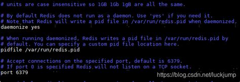 redis部署启动多个端口实例 redis多口 csdn博客