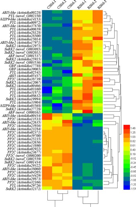 Heat Map Of Gene Expression Levels Of Key Regulatory Factors In ABA
