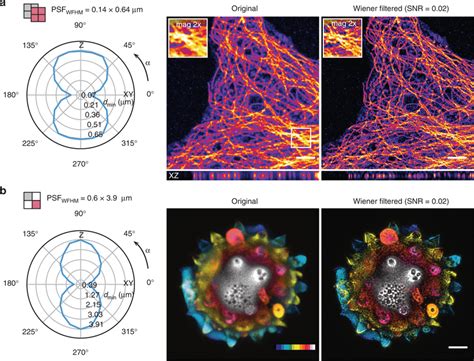 Blind Wiener Deconvolution In D With Psf Estimated From Sfsc