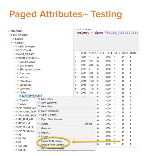 SAP HANA Column Tables Paged Attributes On FlashArray X