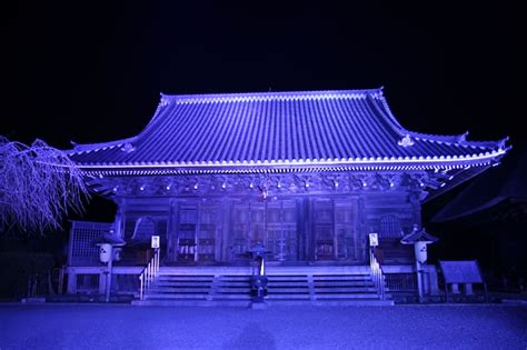 称名寺 ライトアップ 後 with Camera