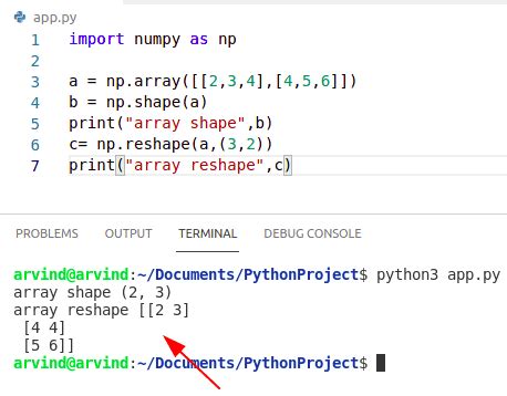 Python Numpy Shape With Examples Python Guides