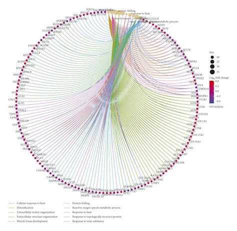 GO And KEGG Pathway Enrichment Analysis A GO Enrichment Analysis