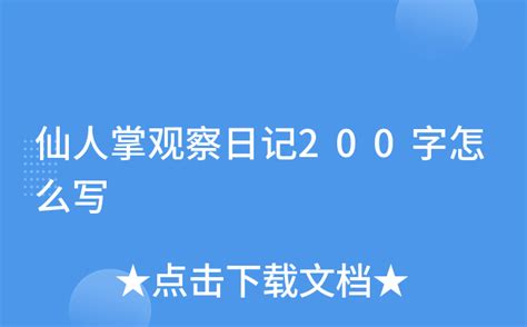仙人掌观察日记200字怎么写