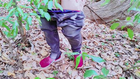 斯里兰卡校园女孩在与她的新男朋友在丛林中的浪漫性爱后撒尿，舔肛洞，最好的口交和后入 Xhamster