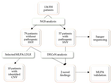 genes free full text identification of new copy number variation and the evaluation of a cnv