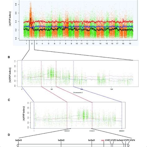 mapping of sex locus by ngs based bsa and linkage analysis a download scientific diagram