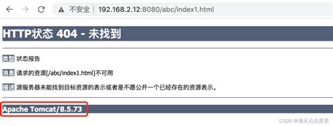 浅谈nginx（或lnmp）、apache（或lamp）、tomcat版本信息泄露危险和修复方法 nginx错误页面web应用服务器版本泄露 满天点点星辰的博客 csdn博客
