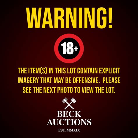 Dvds Of She Male Bisexual And Lesbian Pornography Beck Auctions Inc