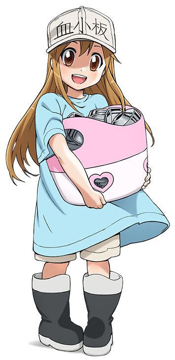 Platelets Cells At Work Soakploaty