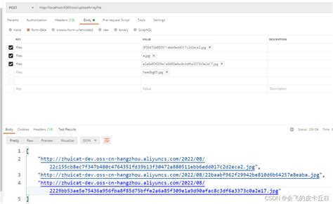 springboot整合阿里云oss实现单个图片上传和批量上传 oss批量上传图片 csdn博客