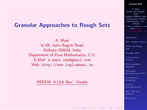 pdf granular approaches to rough sets