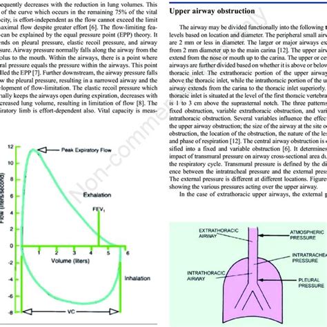 the normal flow volume curve fev1 forced expiratory volume in one download scientific diagram