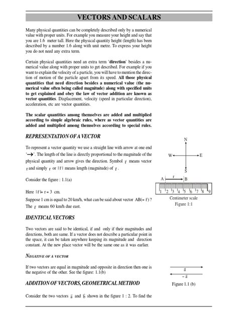 2 vector 01 theory 1 25 pdf euclidean vector cartesian coordinate system